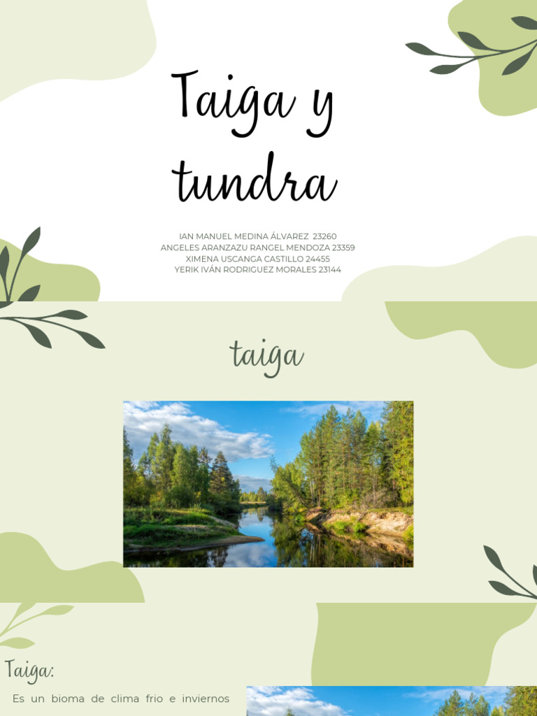 Taiga y Tundra | PDF
