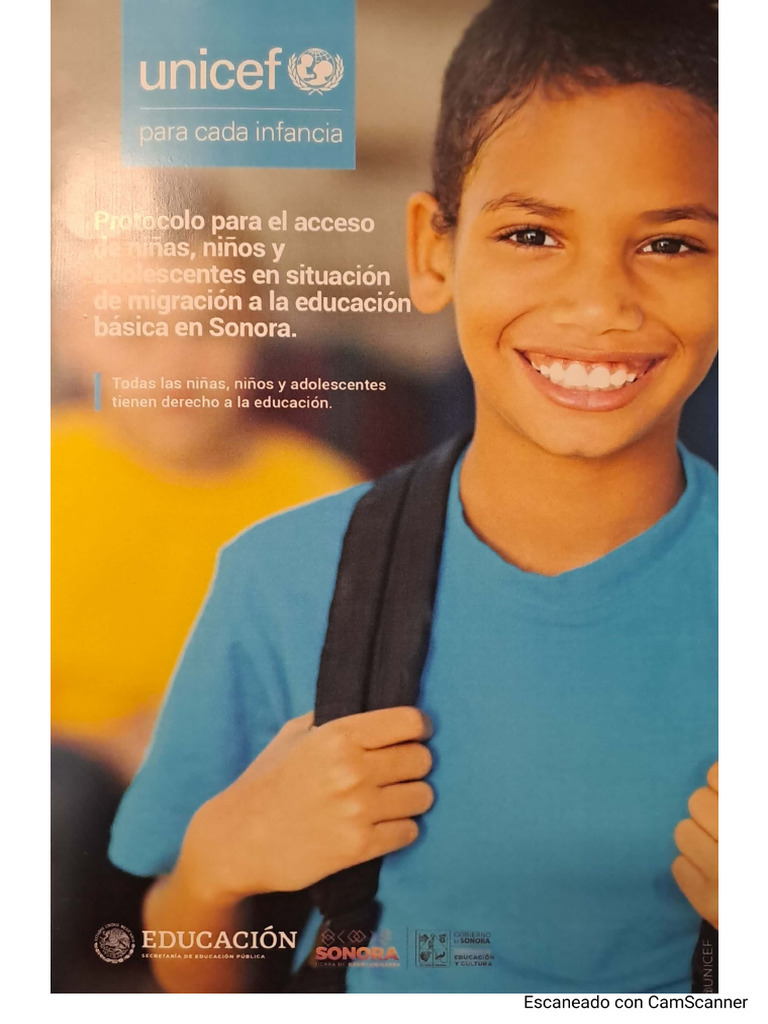 Protocolo de Acceso A Nna | PDF