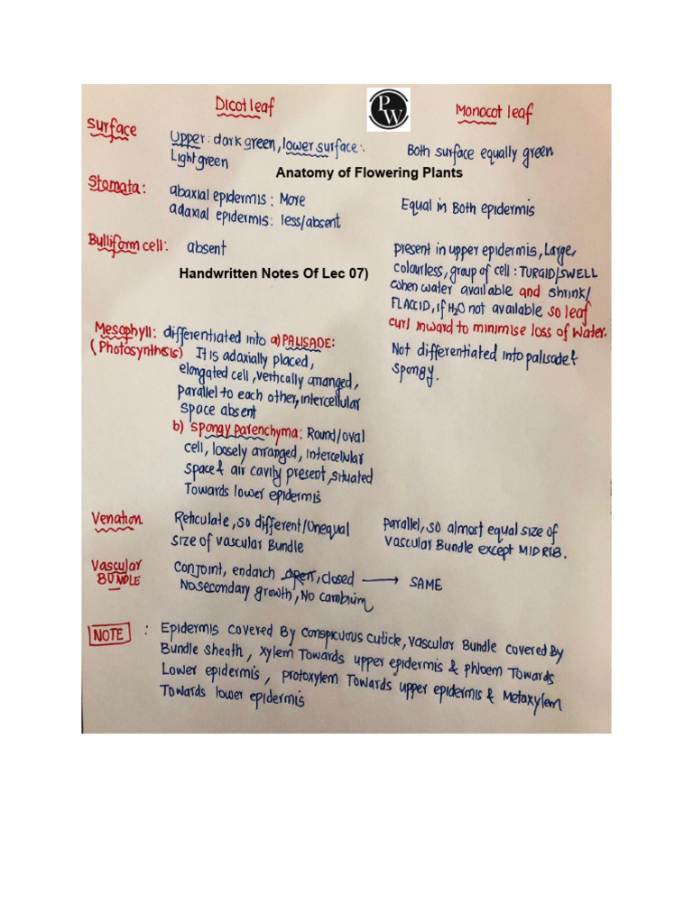 66f7b0faca188b5f47802910 - ## - Anatomy of Flowering Plants (Of Lecture ...