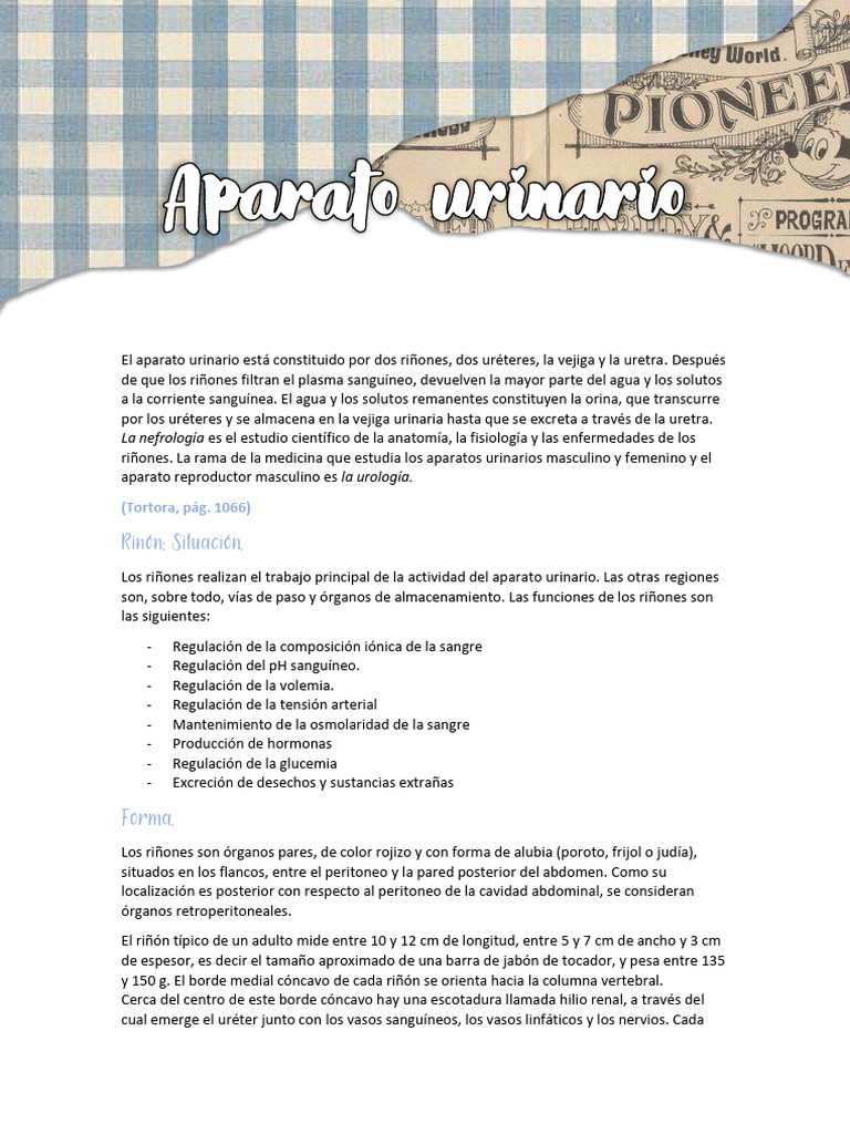 Unidad 2 Anato 2 | PDF