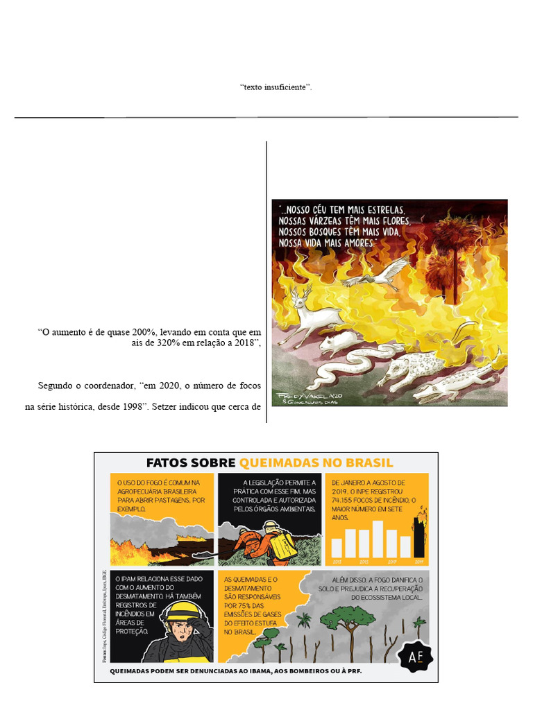 As Consequências Das Queimadas No Brasil | PDF | Brasil