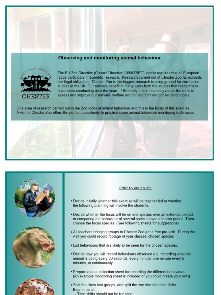Animal Behaviour-Teacher Resource | PDF