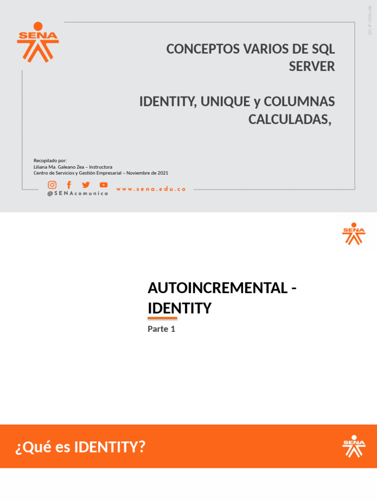 Identity Colum Unique SQL | PDF