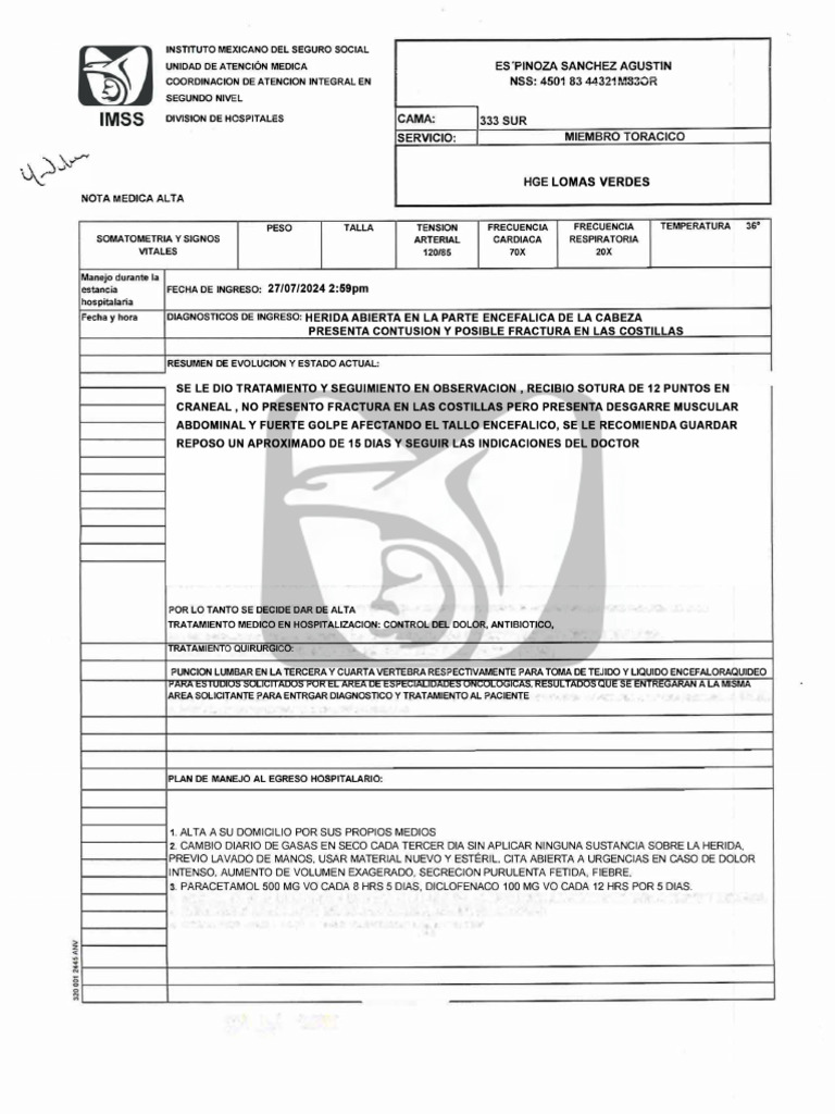Hoja de Alta y Diagnostico de Imms 1 | PDF
