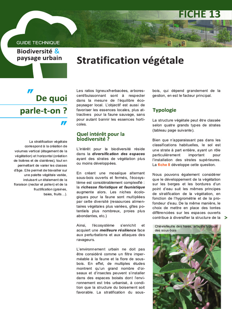 FT13 StratificationVegetale | PDF