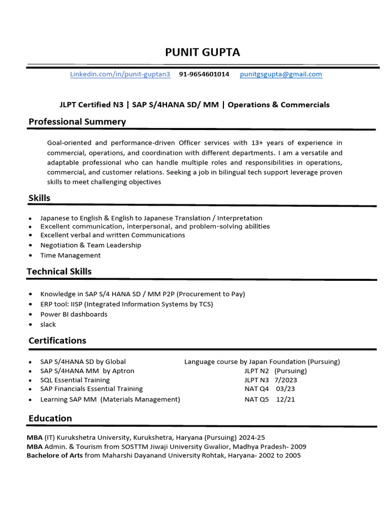 CV Punit Gupta | PDF