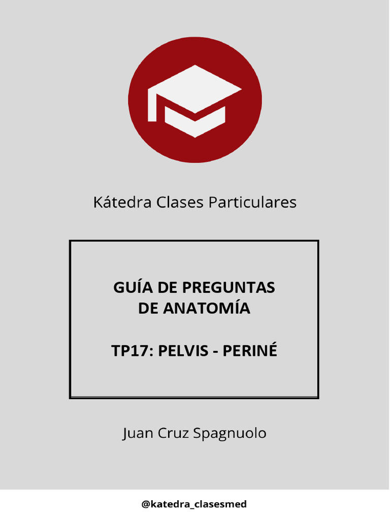 TP17 Pelvis Perine | PDF