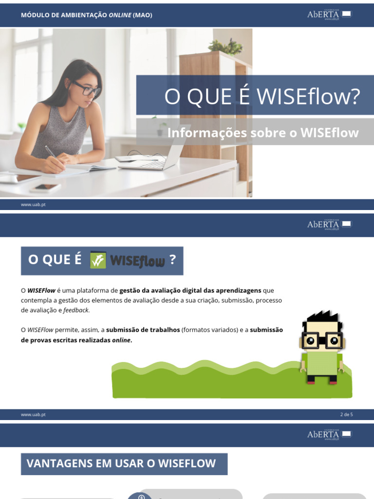 WISEflow Guiapratico Informacoesbasicas v24-25 | PDF