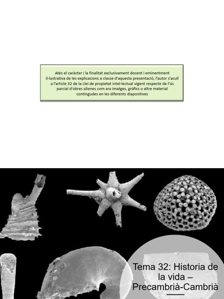 Tema 32 Historia de La Vida - Precambrià-Cambrià | PDF
