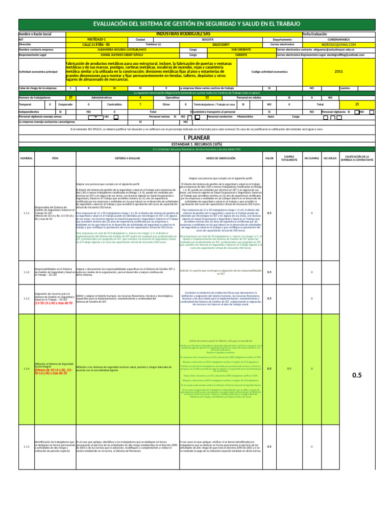 Formato - Estándares Mínimos Del SG-SST - DAG - AHC - JDG - YFF - SIEMPRE ESTRATÉGICOS | PDF ...