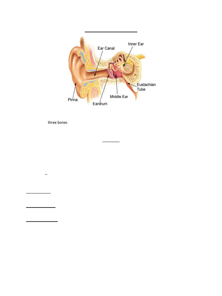 The Ear Notes | PDF