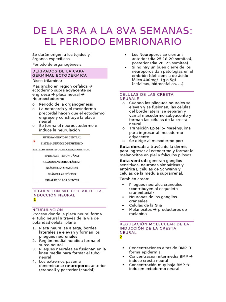 Embrio Cap 6. | PDF