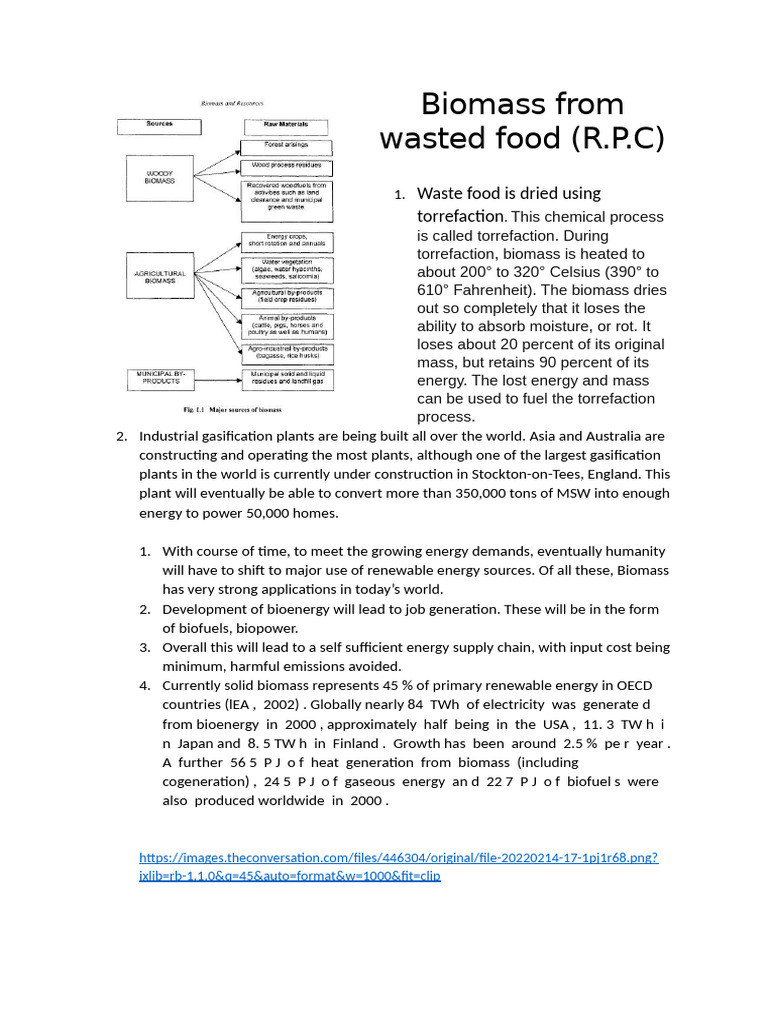 Biomass From Wasted Food | PDF