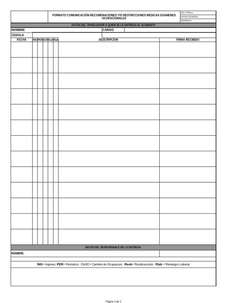 Formato Entrega Recomendaciones Ejem | PDF