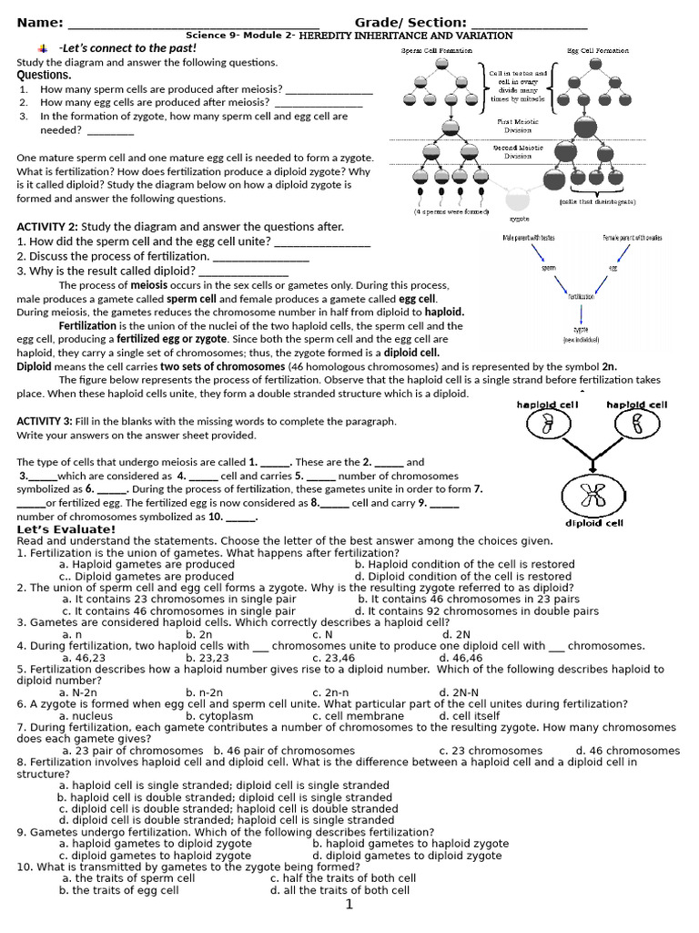 Module 2 2024 | PDF