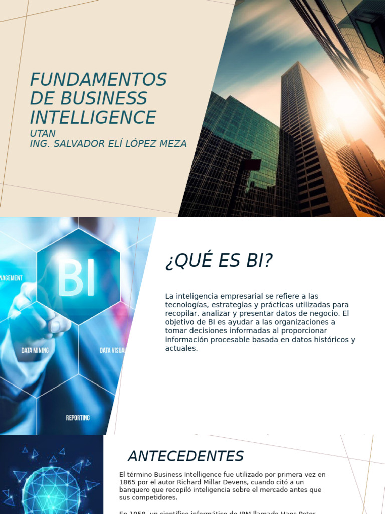 Fundamentos de Business Intelligence 1 | PDF