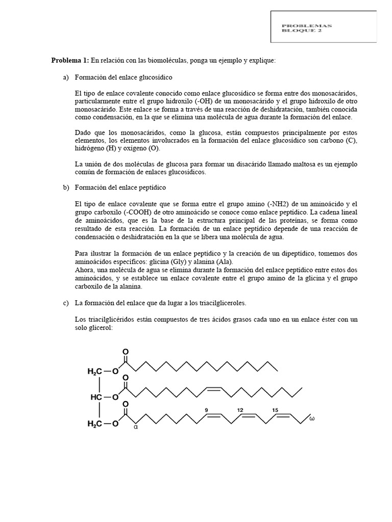BLOQUE 2 PROBLEMAS REPASO.docx | PDF