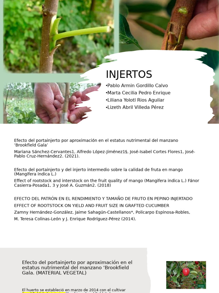 INJERTOS | PDF