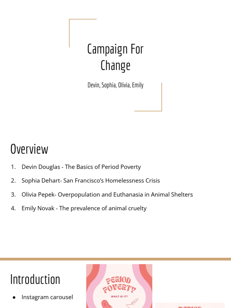 Campaign For Change: Devin, Sophia, Olivia, Emily | PDF