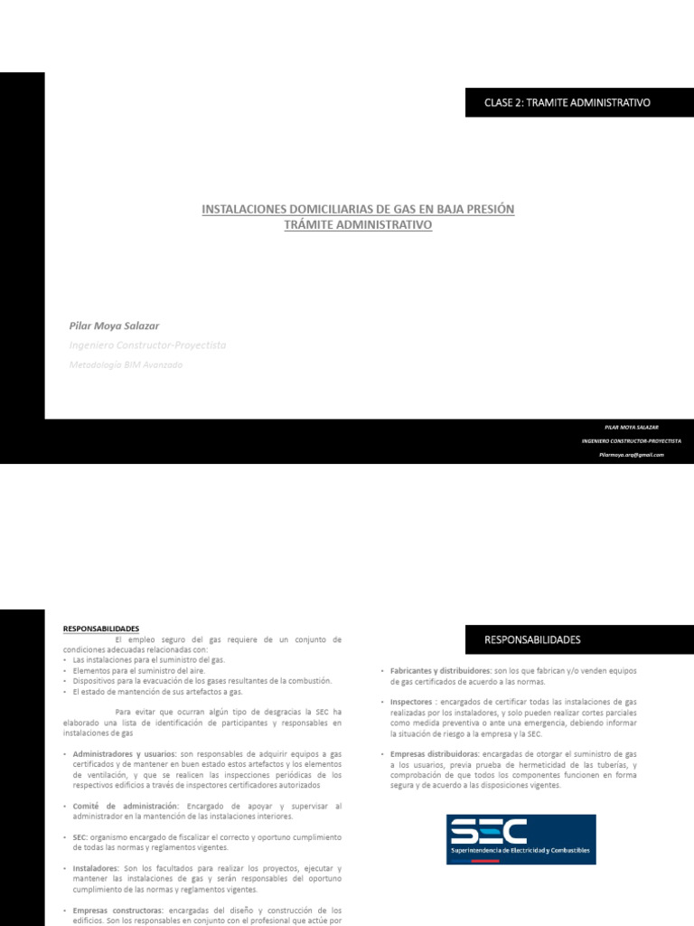 S02 - Clase N°2 - Gas - Conceptos Básicos Ii - 240805 - 172407 | PDF