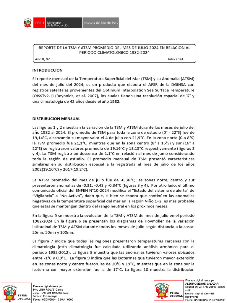 Reporte Tsm-Atsm | PDF