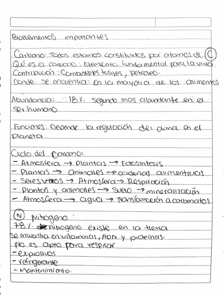 Bioelementos Importantes | PDF