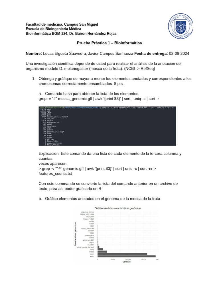 Prueba Practica 1 | PDF
