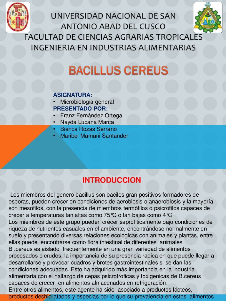 PDF Bacillus Cereus Microbiologia - Compress | PDF