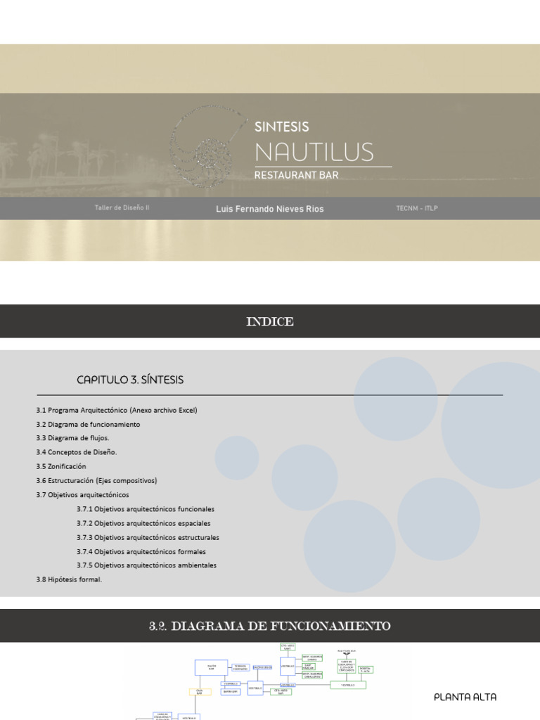 Sintesis-Nieves Rios Luis Fernando1 | PDF | Accesibilidad