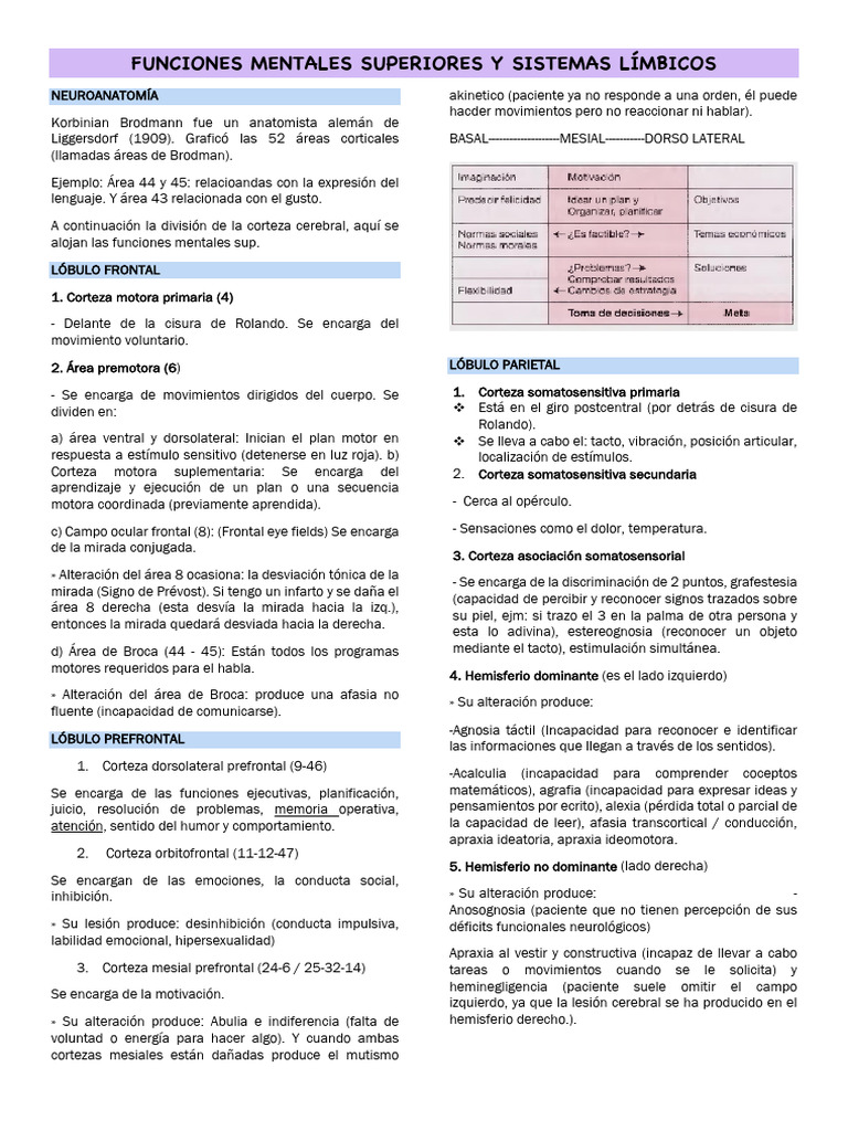 Funciones Mentales Superiores y Sistemas Límbicos | PDF | Afasia ...