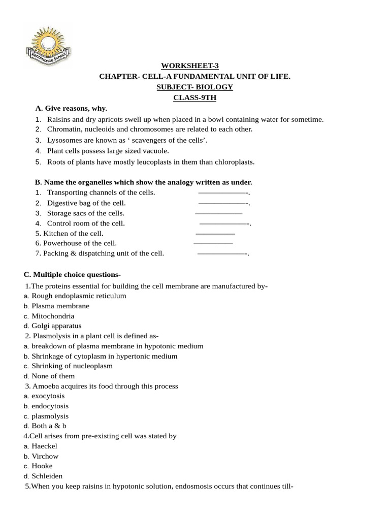 Worksheet-3 Ch-Cell - 16072024 - 234913 | PDF