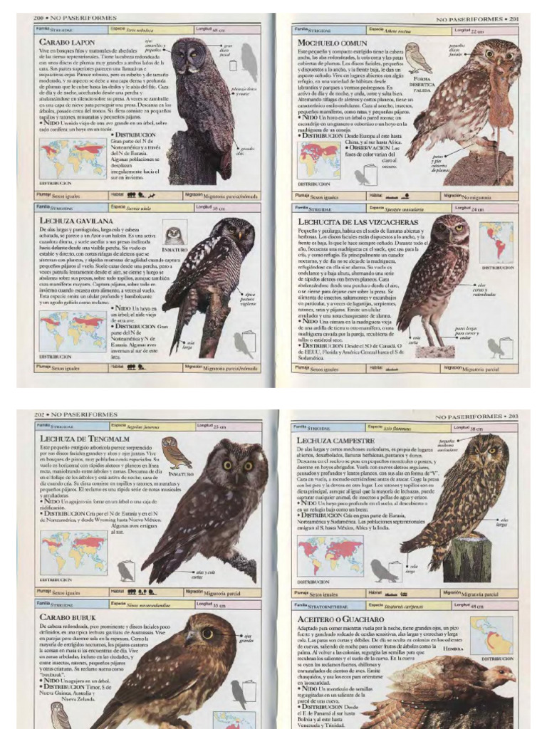 Aves Del Mundo, Manuales de Identificación - Colin Harrison, Alan ...