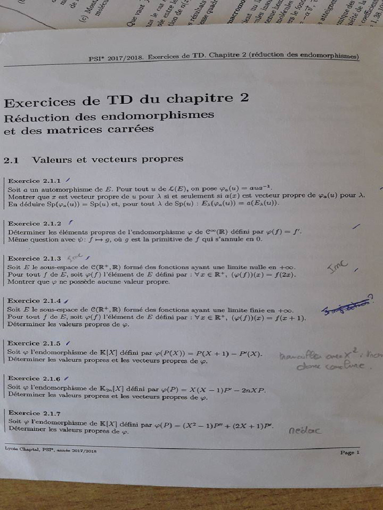 Td Red Chaptale | PDF