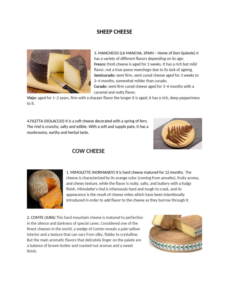 Cheese 2 | PDF
