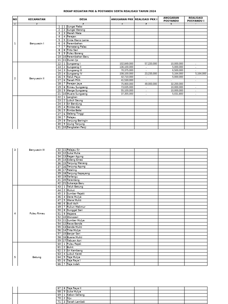 Rekap Kegiatan PKK Pagu Dan Realisasi 2024 Kabupaten | PDF