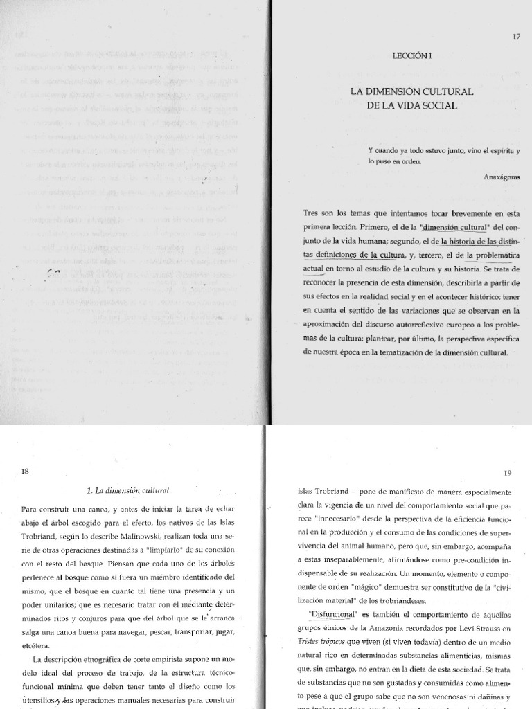 Lect - 02 - Dimensión Cultural | PDF