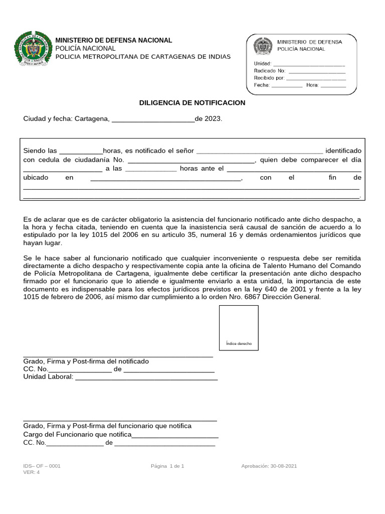 FORMATO DE NOTIFICACION PERSONAL 2022 (1) | PDF FORMATO DE NOTIFICACION PERSONAL 2022 (1) | PDF