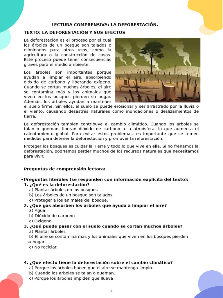 Efectos de la Deforestación | PDF | Deforestación | Ciencia y matemáticas