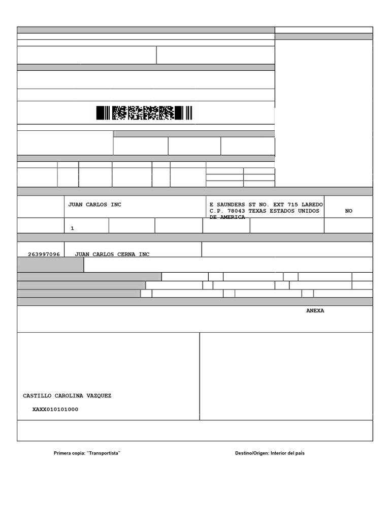 Formato Pedimento Exportacion | PDF