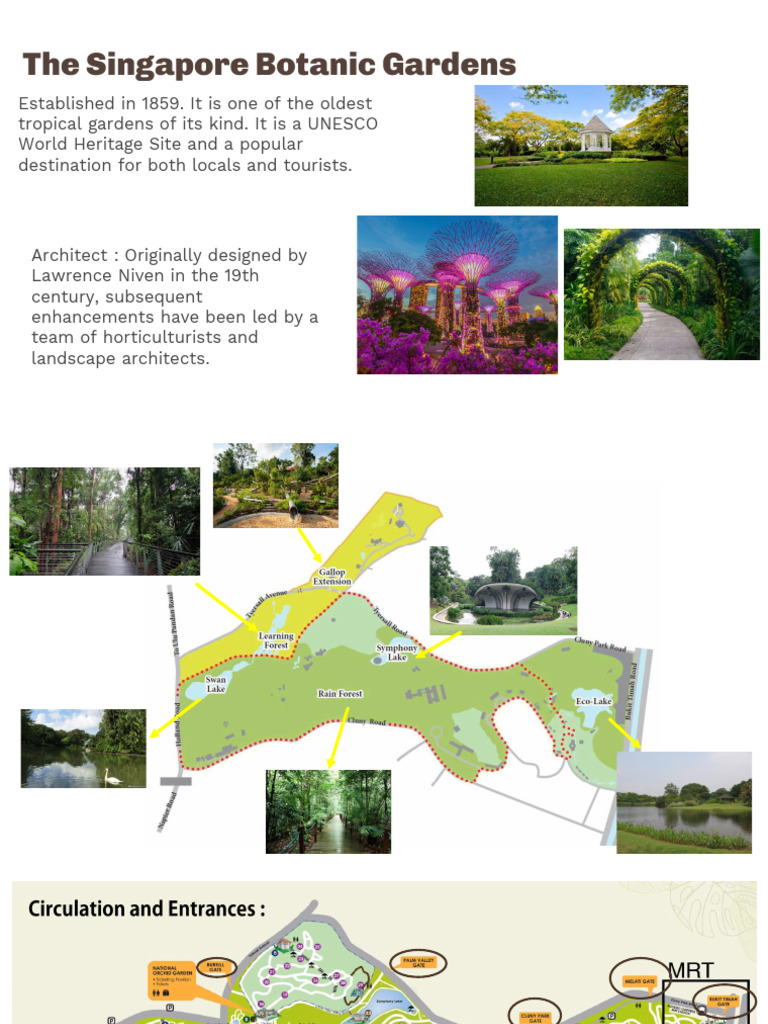 Urban Case Study | PDF
