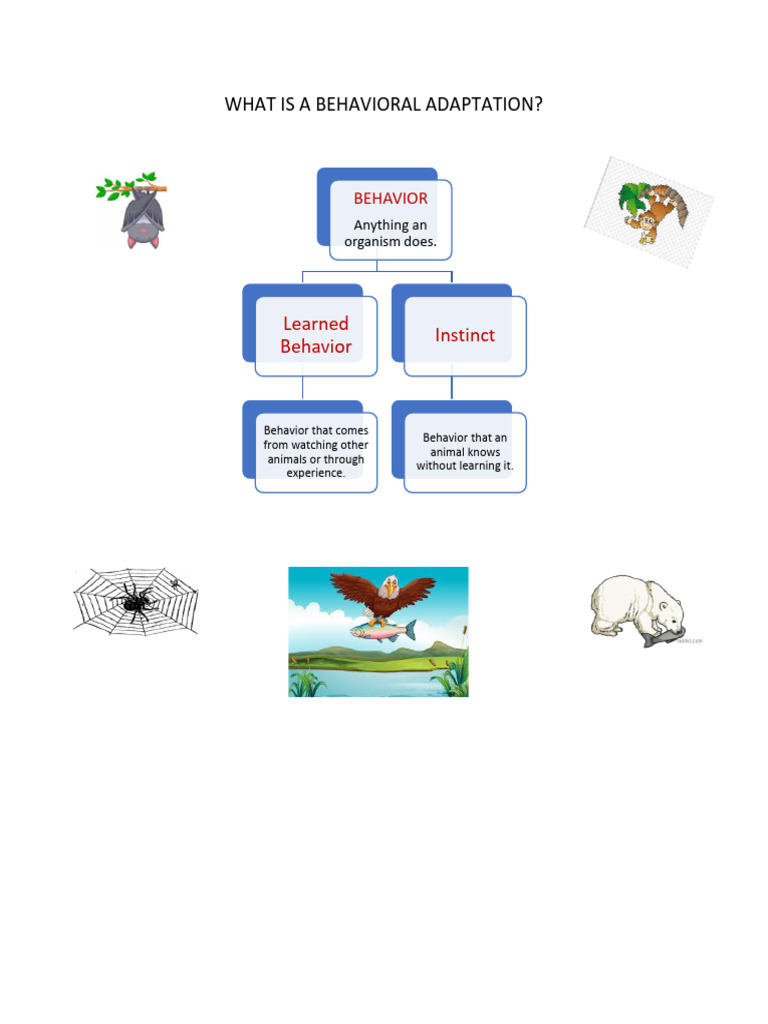 BEHAVIORAL ADAPTATION Lesson | PDF