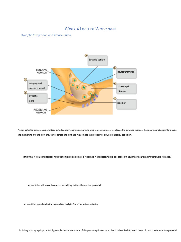 Kami Export - Week 4 Practice Assignement - Fall 2024 | PDF