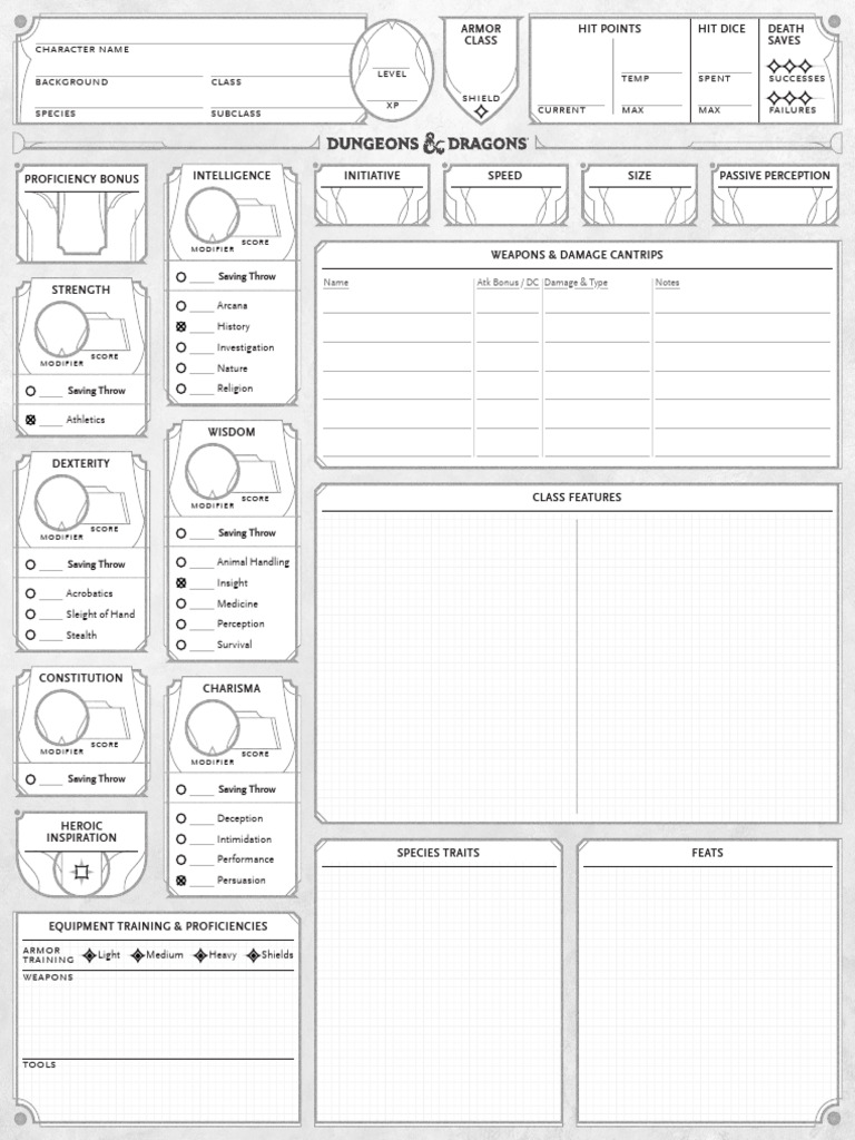 DND 2024 Character-Sheet - Fillable | PDF