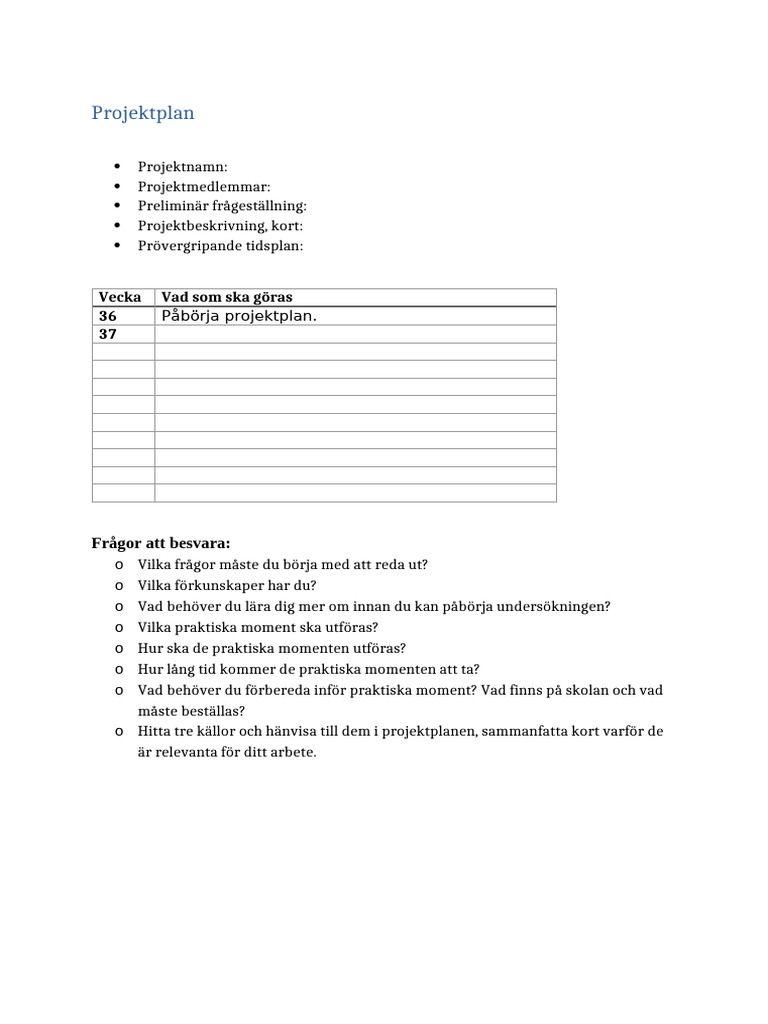 Projektplan GYA Mall | PDF