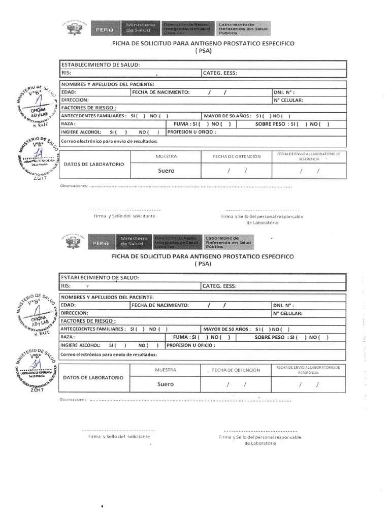 Formato para Psa Total 09-08-2024 | PDF