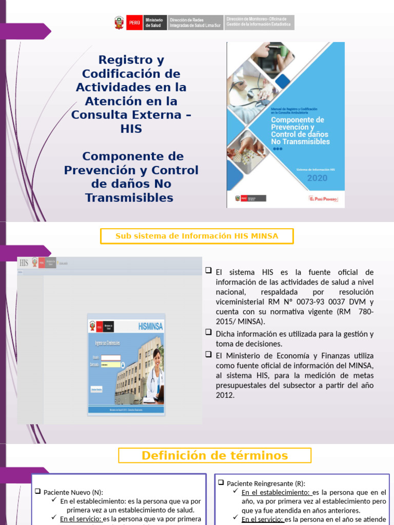 Presentacion DNT 2024 | PDF