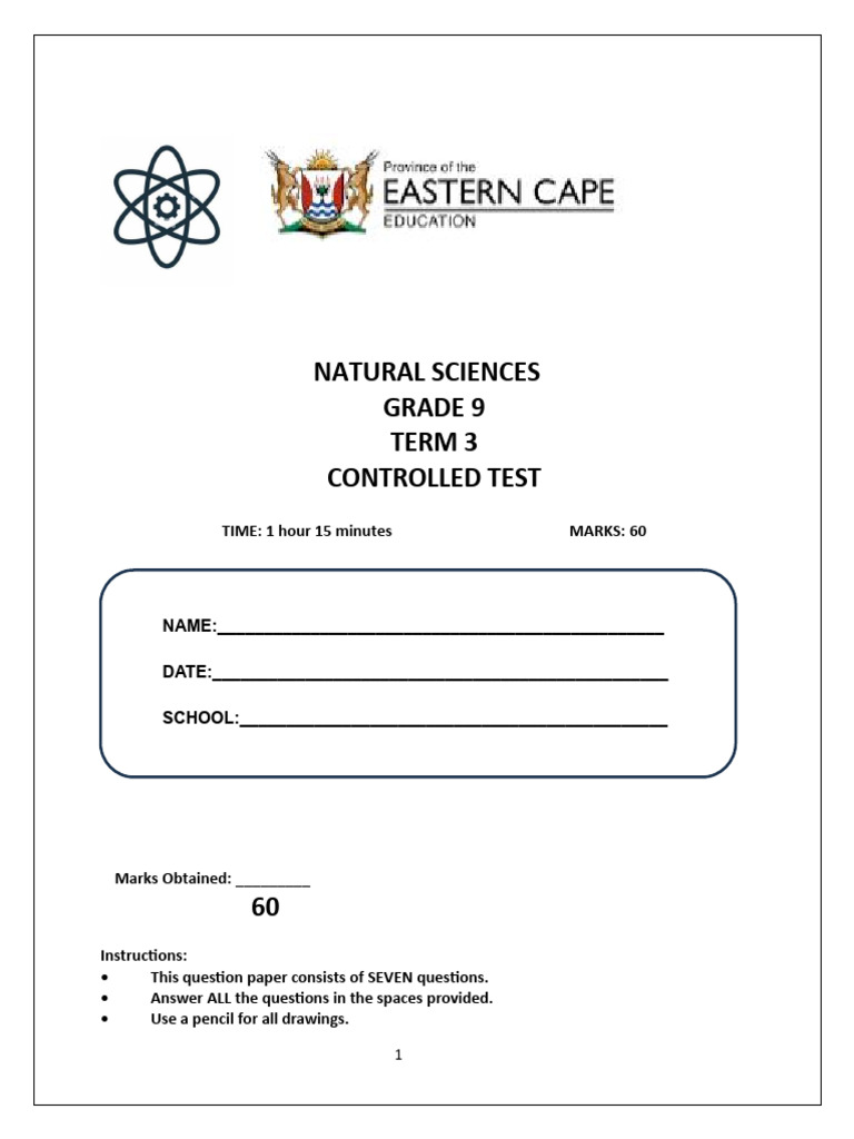 GR 9 NS Term 3 Test - 053032 | PDF