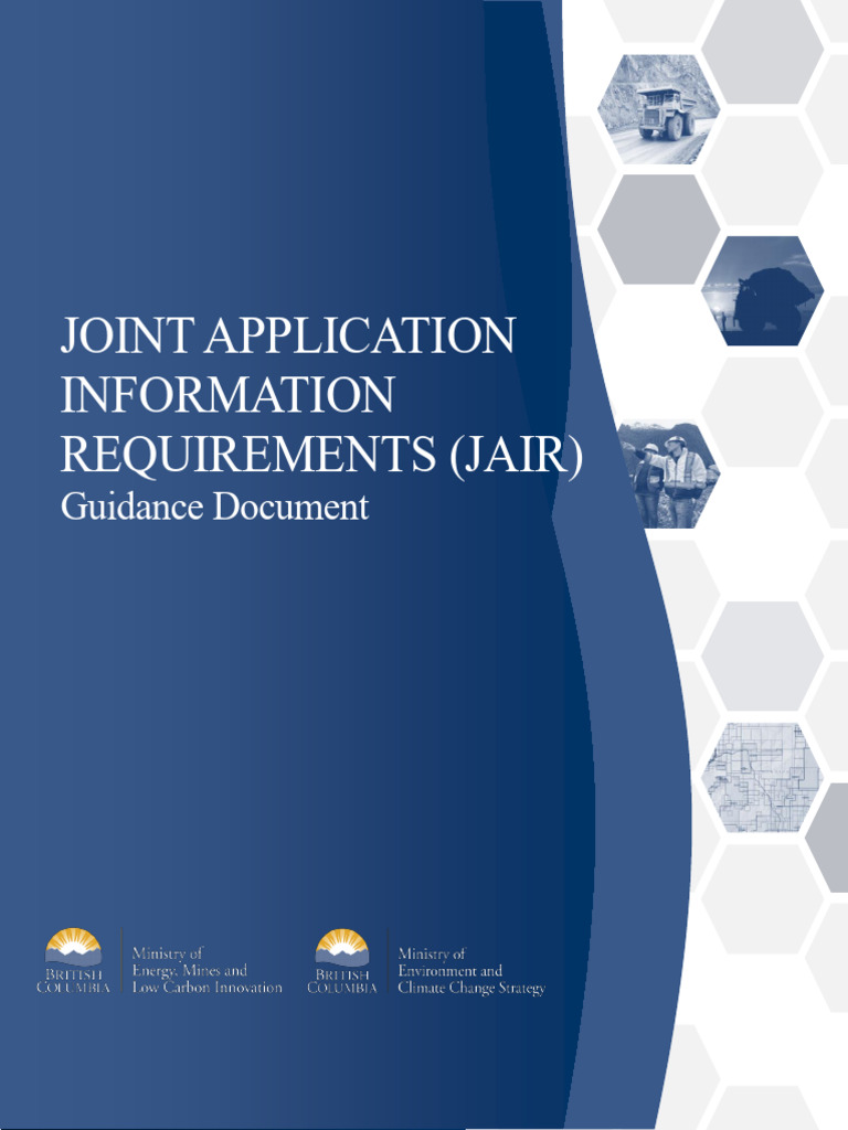 Joint Application Information Requirements | PDF