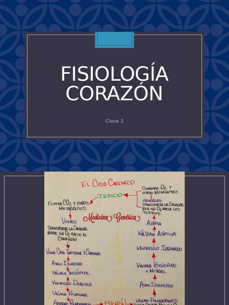 class%202%20cardio | PDF