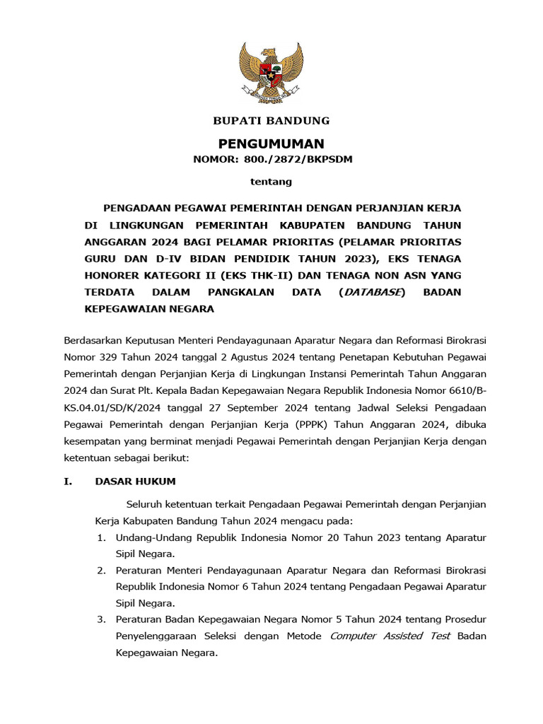 v8 Pengumuman Seleksi PPPK Tahun 2024 Dan Lampiran Website | PDF